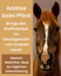 Azidose beim Pferd: Sanfte Unterstützung für den Körper